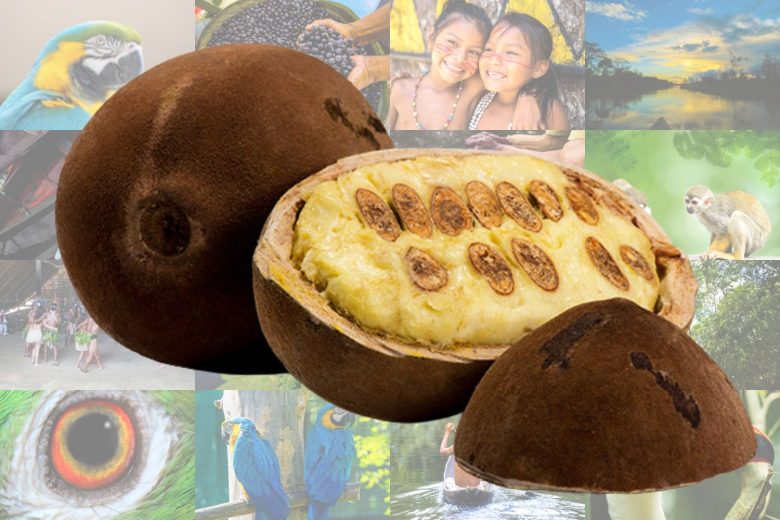 Tutorial Viagem - All about All about Cupuaçu