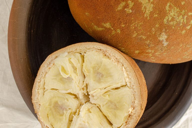 Tutorial Viagem - All about All about Cupuaçu